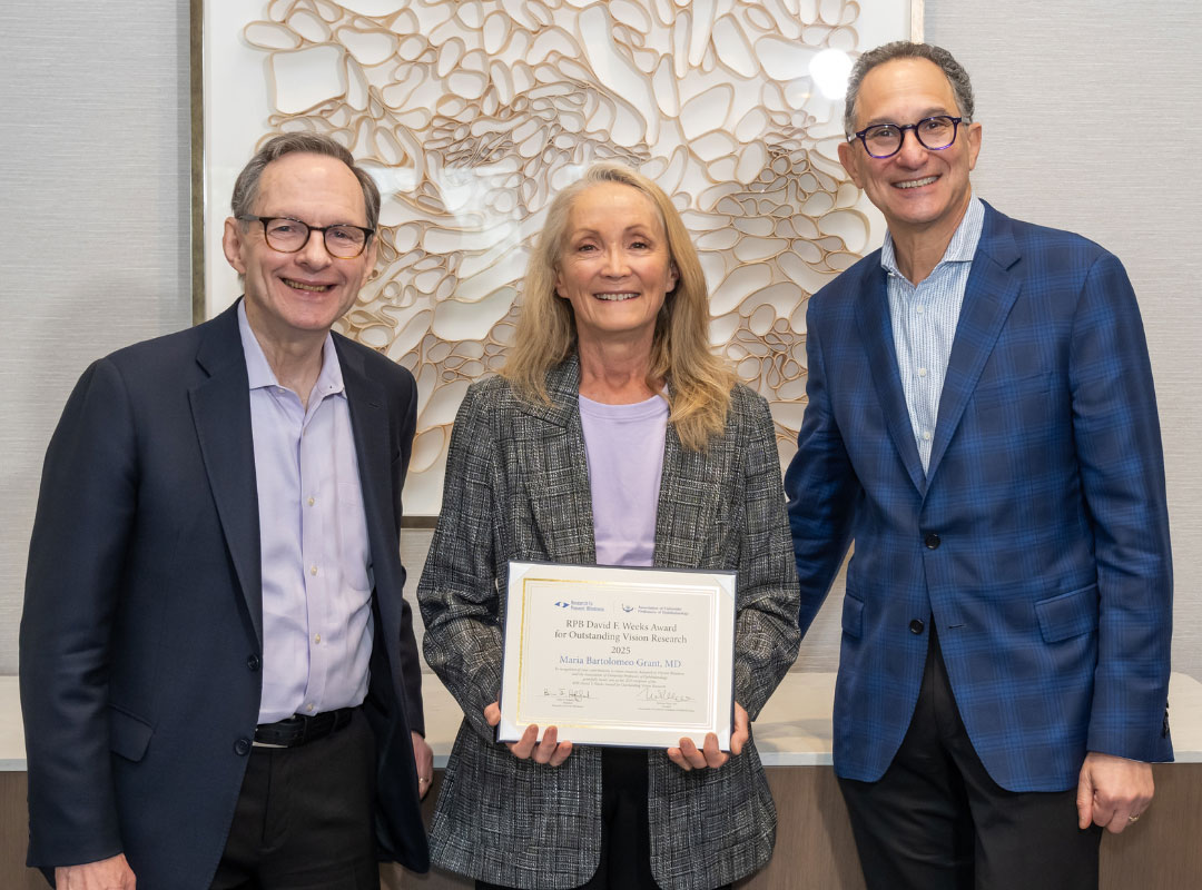 RPB David F. Weeks Award – IRRF